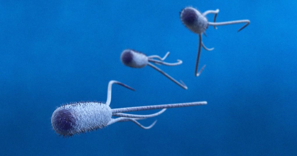 Bacteriobot Holds 'A Lot Of Promise' To Treat Cancer, Says Doctor ...